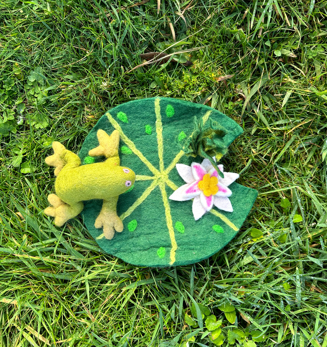 Lilly ponds, frogs and snails – Himalayanfeltcoshop