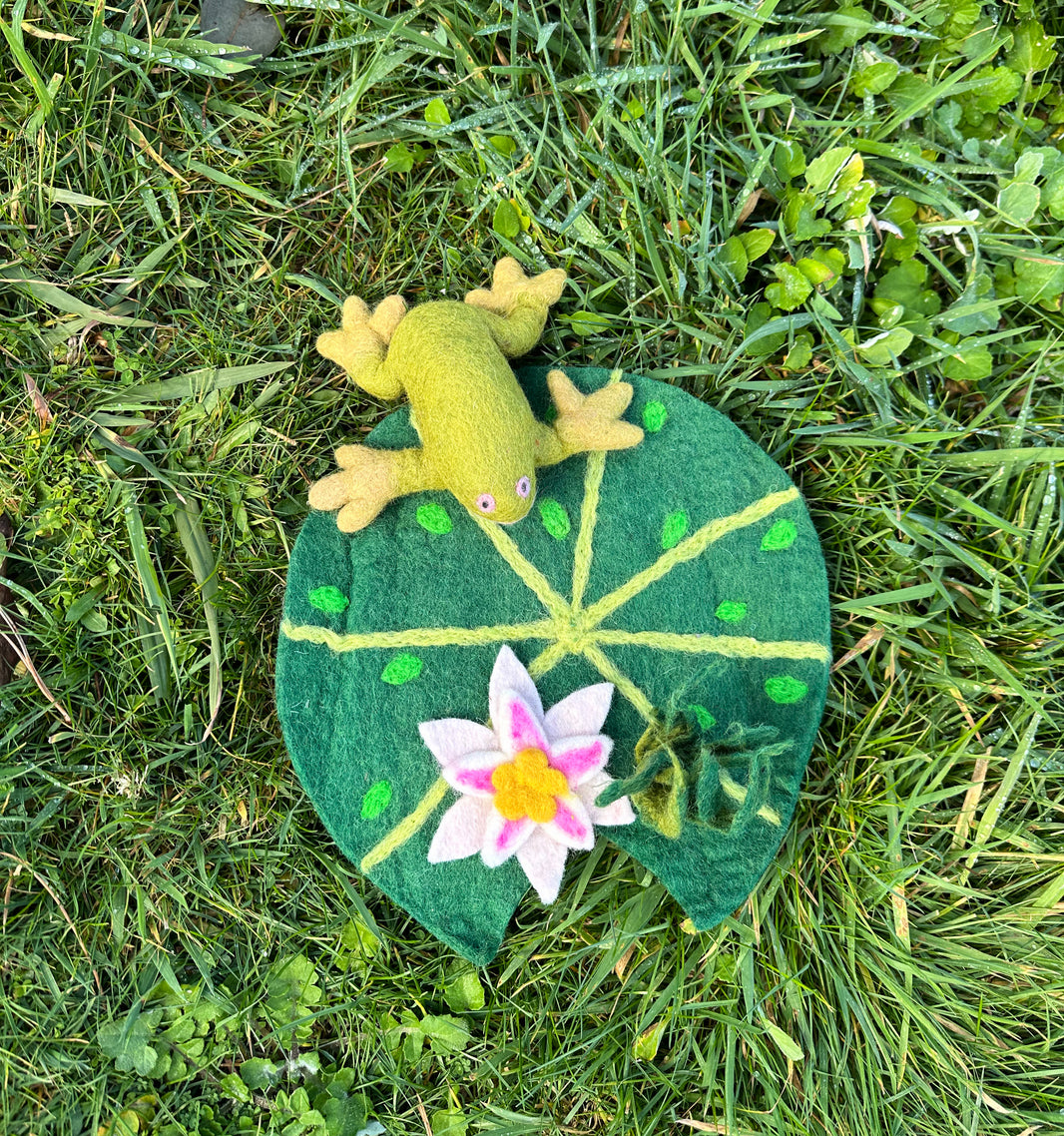 Lilly ponds, frogs and snails – Himalayanfeltcoshop